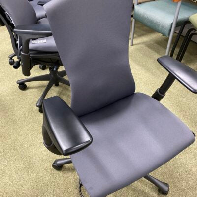 Herman Miller Embody Task Chair